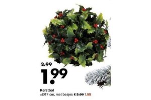 Kerstbol - Beste.nl