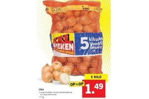 Uien 5 kilo nu €1,49 per zak - Beste.nl